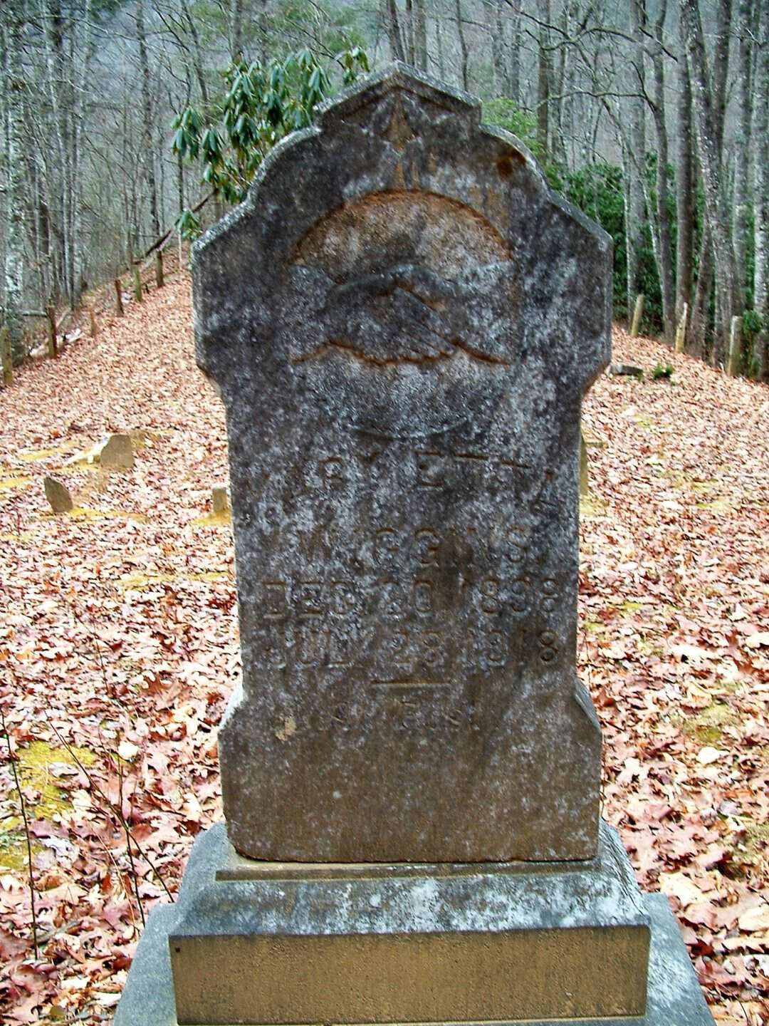 The Joree Bird | Blind Pig and The Acorn