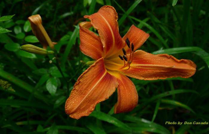 Craftmanship And Cultivation Of Beauty - Lingering Legacies Of Early ...