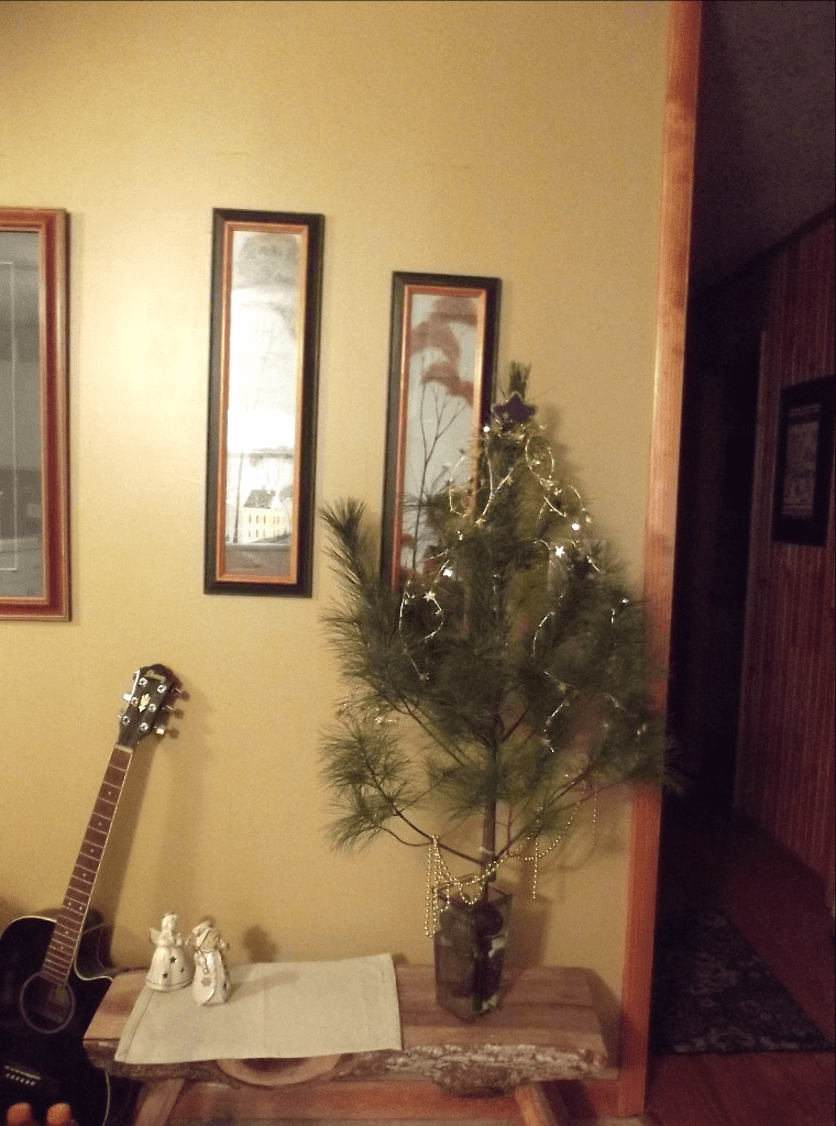 The Sarvis Tree Is Blooming In Appalachia | Blind Pig and The Acorn