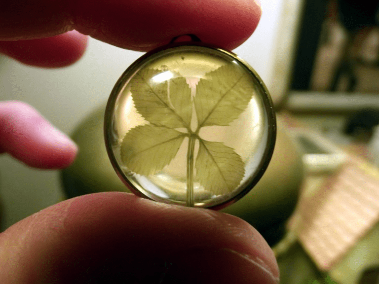 Finding Four-Leaf Clovers | Blind Pig and The Acorn