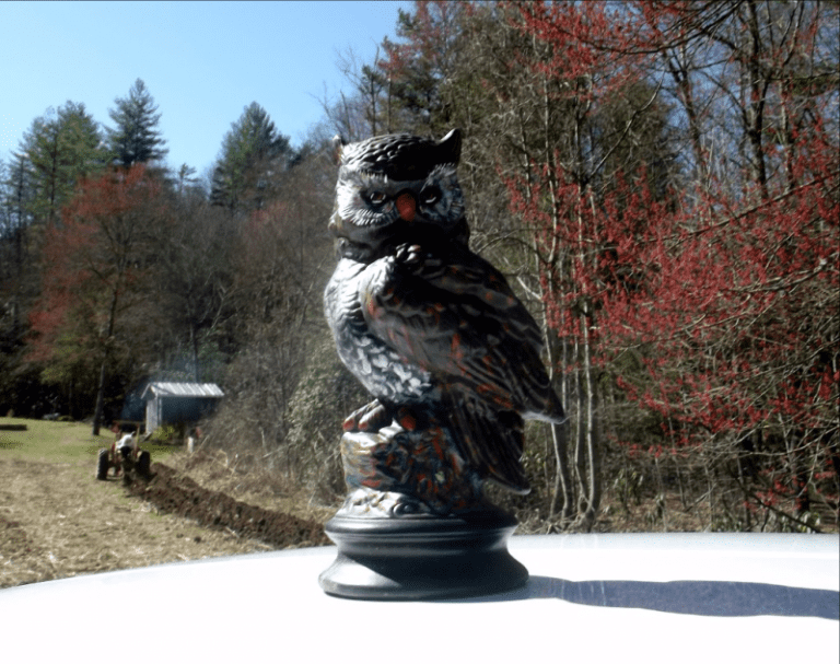 Chickama, Chickama, Craney Crow | Blind Pig and The Acorn