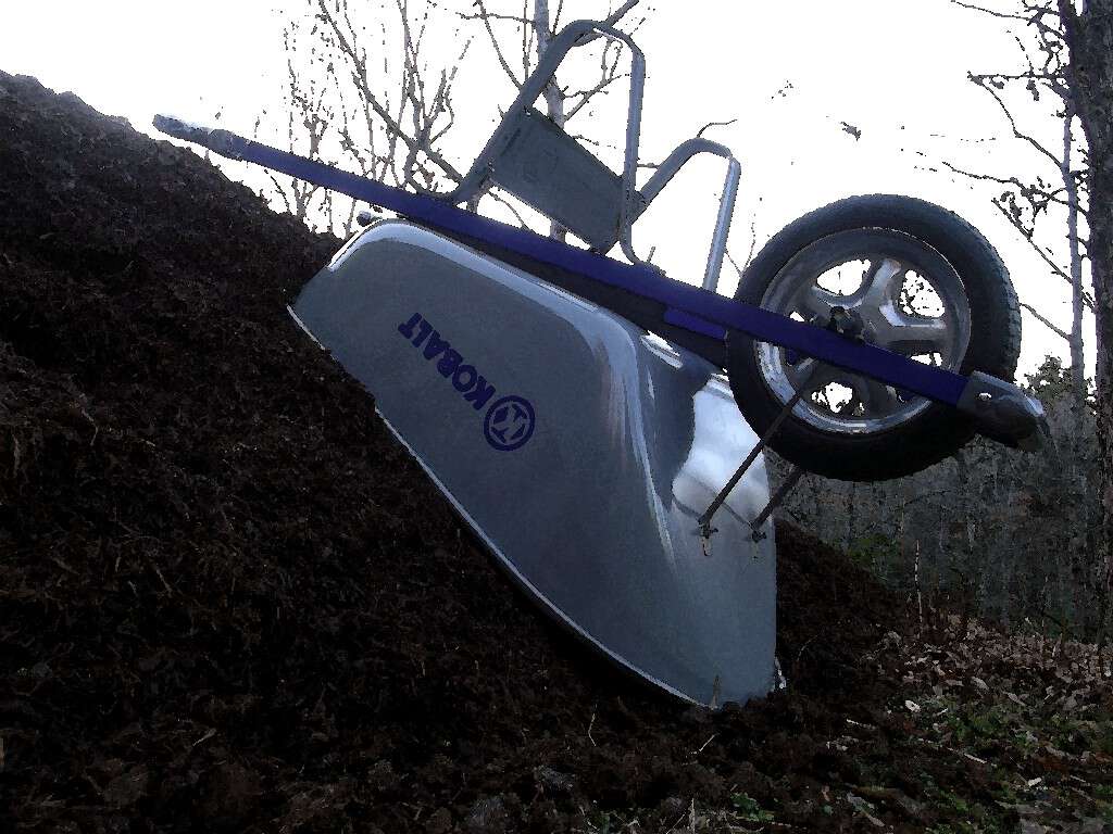 Chatter's Orange Slice Cake | Blind Pig and The Acorn