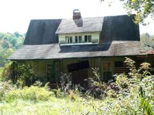 The Joree Bird | Blind Pig and The Acorn