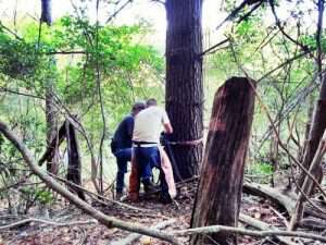 My New Favorite Cookbook | Blind Pig and The Acorn