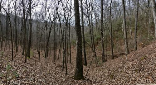 Chickama, Chickama, Craney Crow | Blind Pig and The Acorn