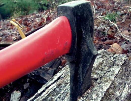 Adding 'ed' to Words that Don't Need Them | Blind Pig and The Acorn