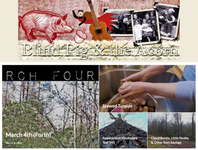 Blind Pig & The Acorn in 2025 | Blind Pig and The Acorn