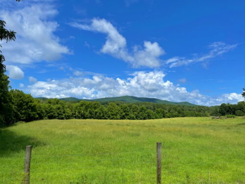 An Easy Supper | Blind Pig and The Acorn