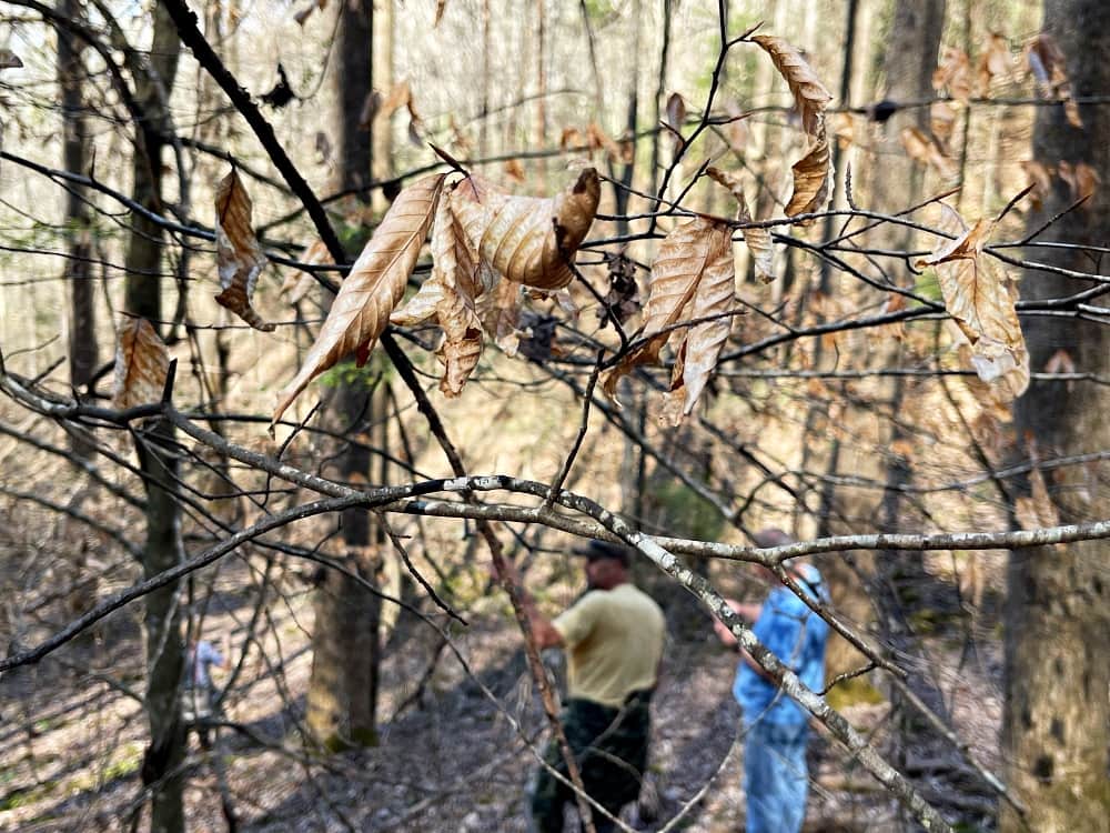 Shumake and Sumac | Blind Pig and The Acorn