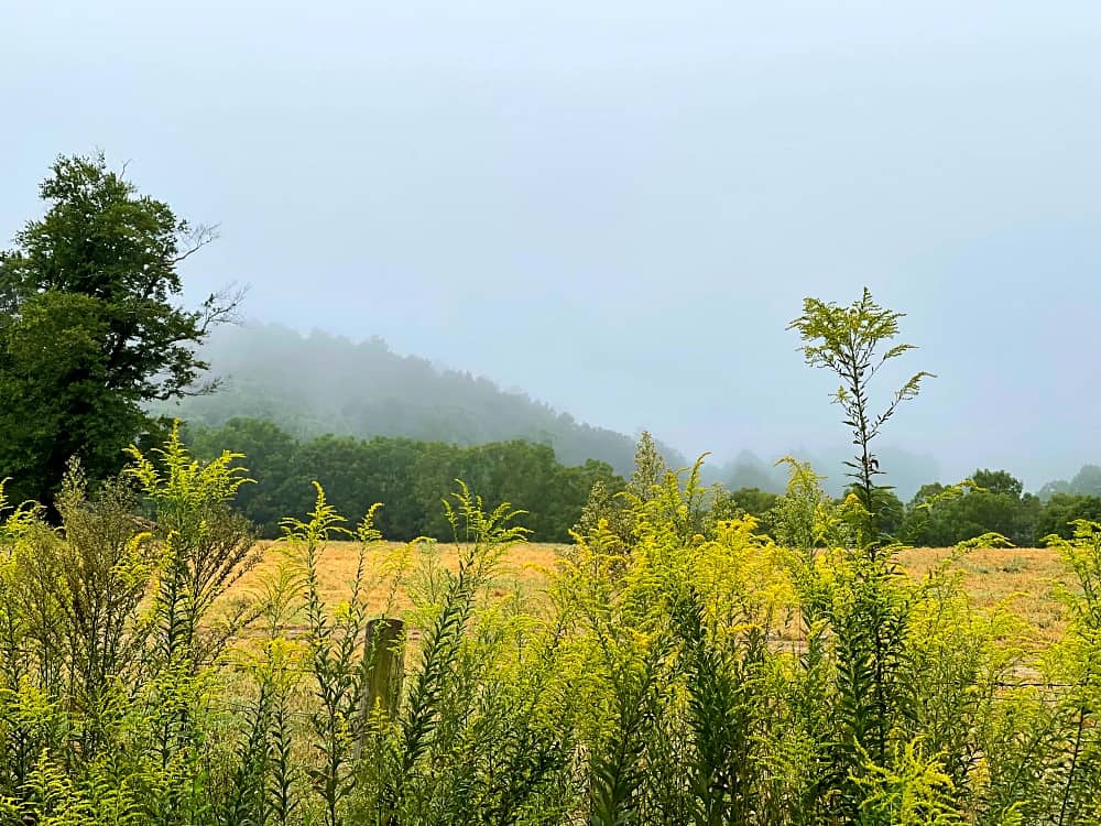 Signs of Fall of the Year | Blind Pig and The Acorn
