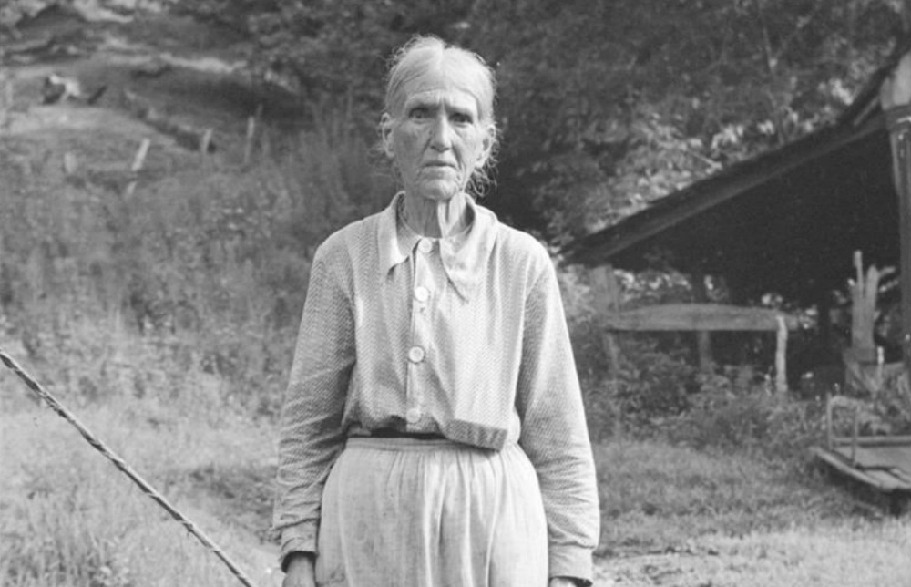 Meet Clementine | Blind Pig and The Acorn