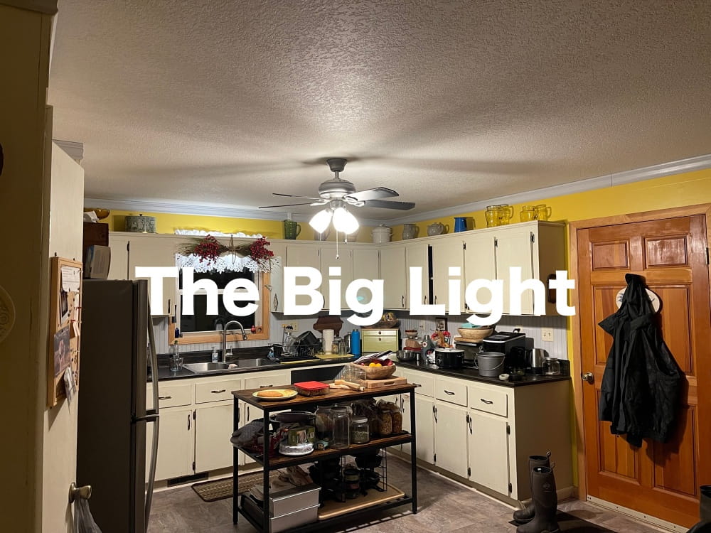 Do You Have A Big Light? | Blind Pig and The Acorn