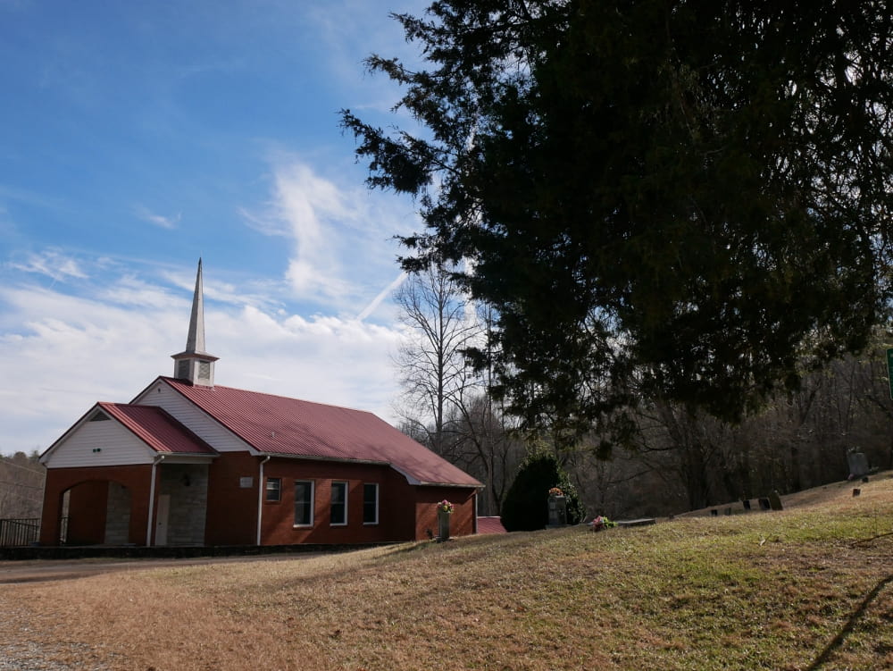 Thoughts on Tall Weeds and Rust | Blind Pig and The Acorn