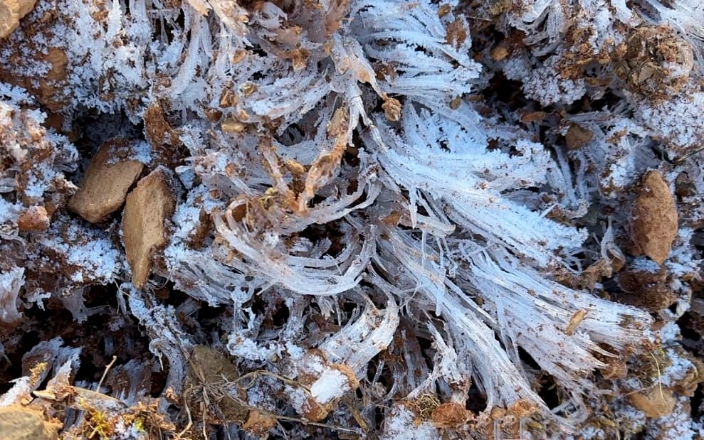 Crunching Frost Needles | Blind Pig and The Acorn