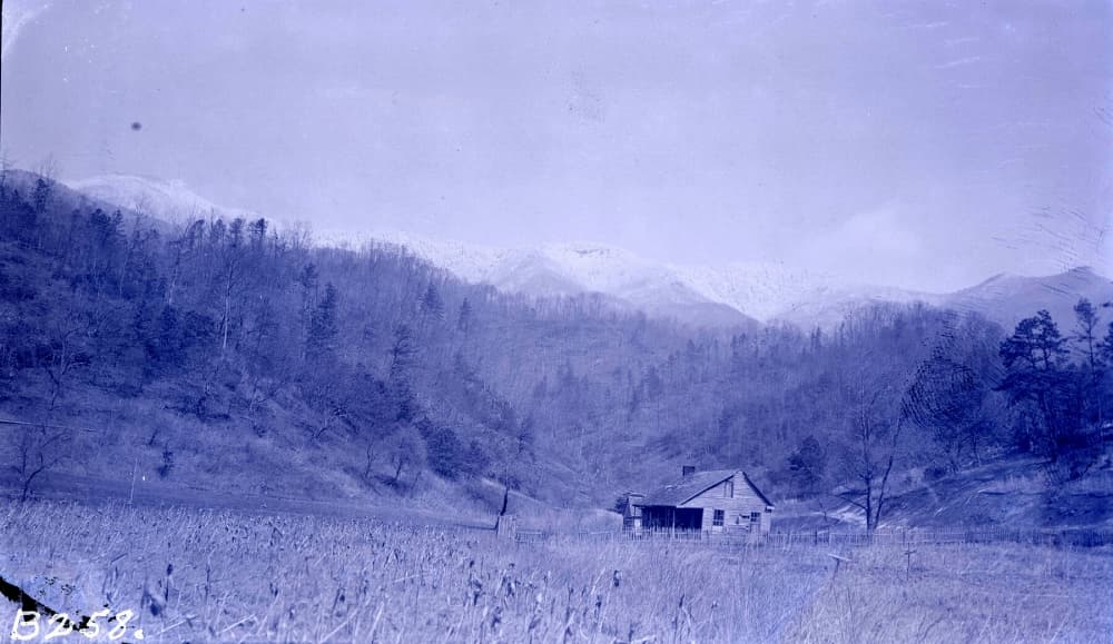 Blind Pig & The Acorn - 2025 in Review | Blind Pig and The Acorn