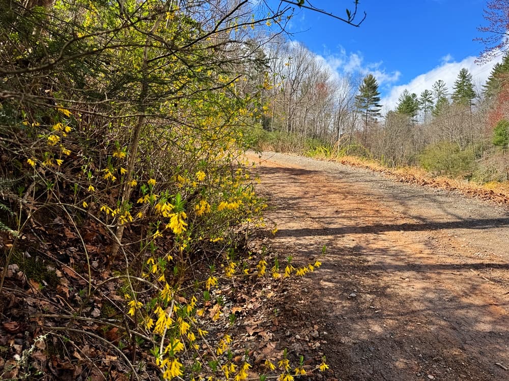 Appalachia Through My Eyes - One Of Those March Days | Blind Pig and ...