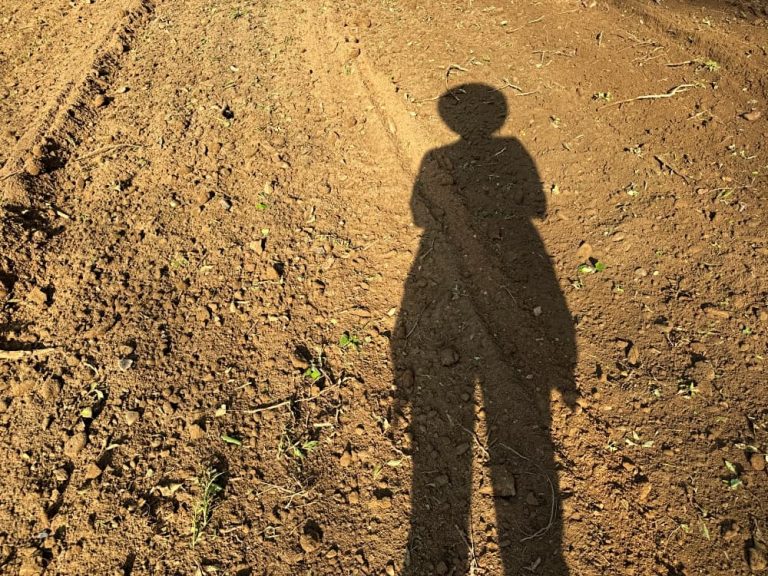 Shadow Folklore | Blind Pig and The Acorn