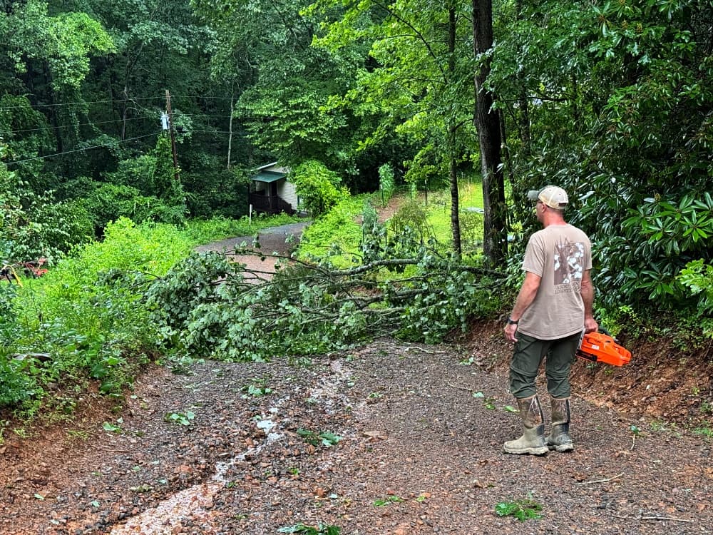Severe Thunderstorm & Garden Damage | Blind Pig and The Acorn