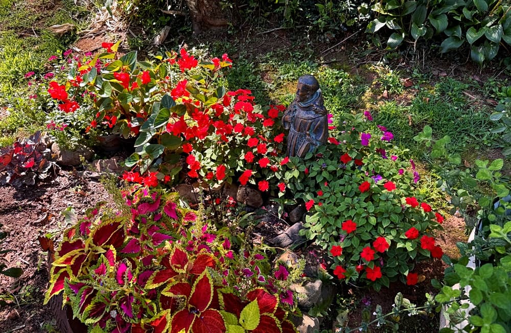 Appalachia Through My Eyes - Flowers in Old Containers | Blind Pig and ...