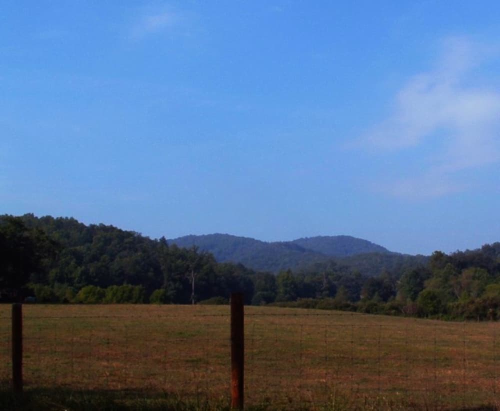 Finding Peace & Comfort | Blind Pig and The Acorn