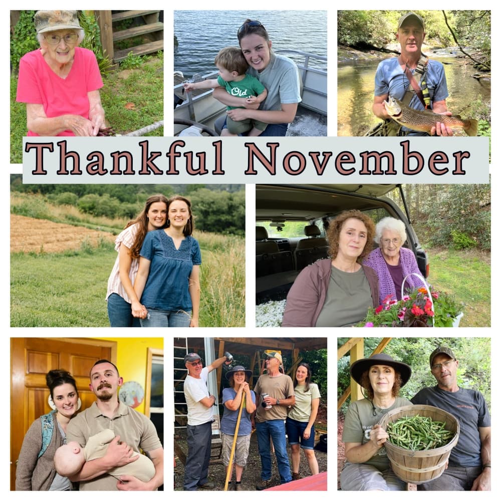 Thankful November - Fairy Crosses | Blind Pig and The Acorn
