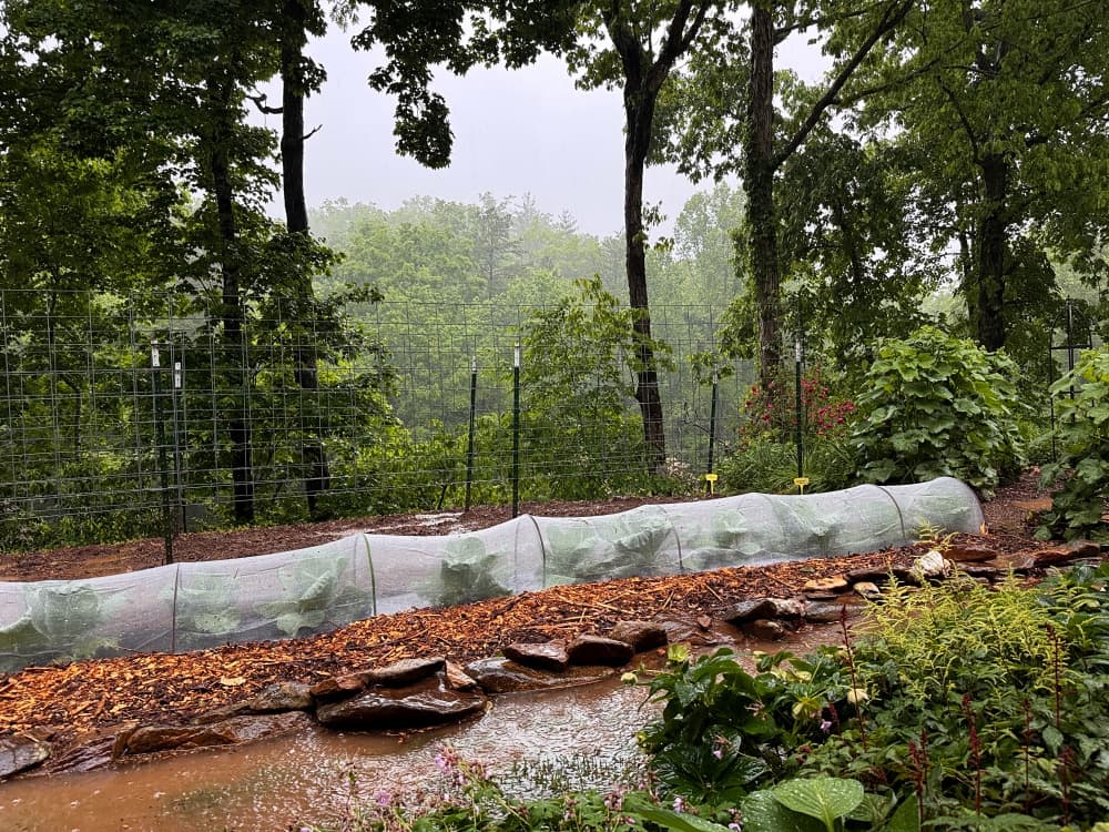 Our Blog | Page 2 of 505 | Blind Pig and The Acorn